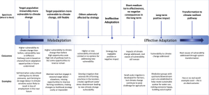 When Adaptation Goes Wrong: Exploring the Dangers of Maladaptation in ...